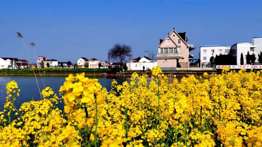 Rugao City（A county-level city administered by Nantong City, Jiangsu ...