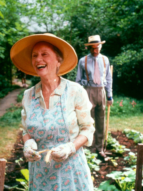 Driving Miss Daisy_Baiduwiki