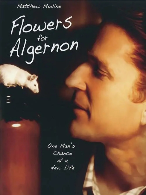 Flowers for Algernon（An American film directed by Jeff Blackner in 2000 ...