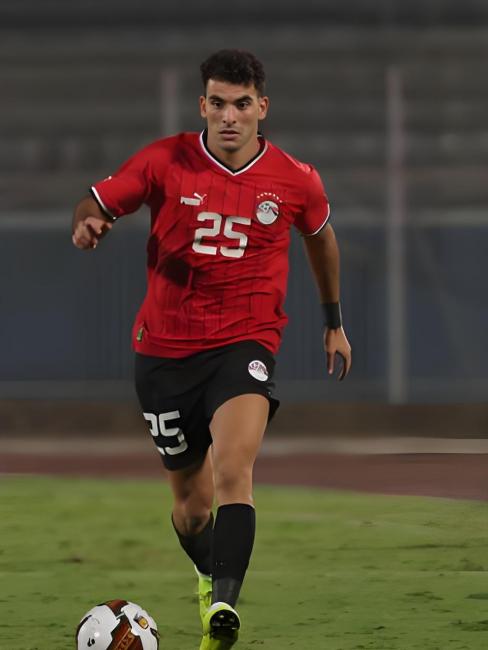 Ahmed Sayed_Baiduwiki