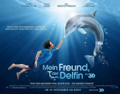 Dolphin Tale_Baiduwiki