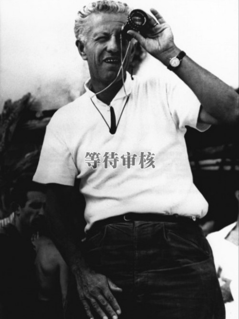 Nicholas Ray_Baiduwiki