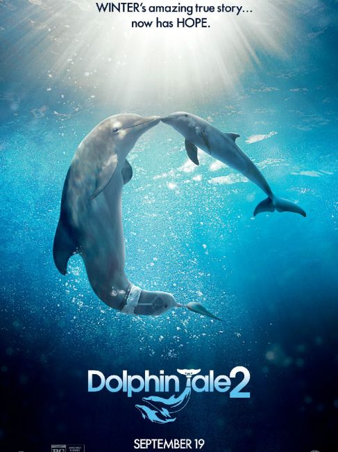 Dolphin Tale 2_Baiduwiki