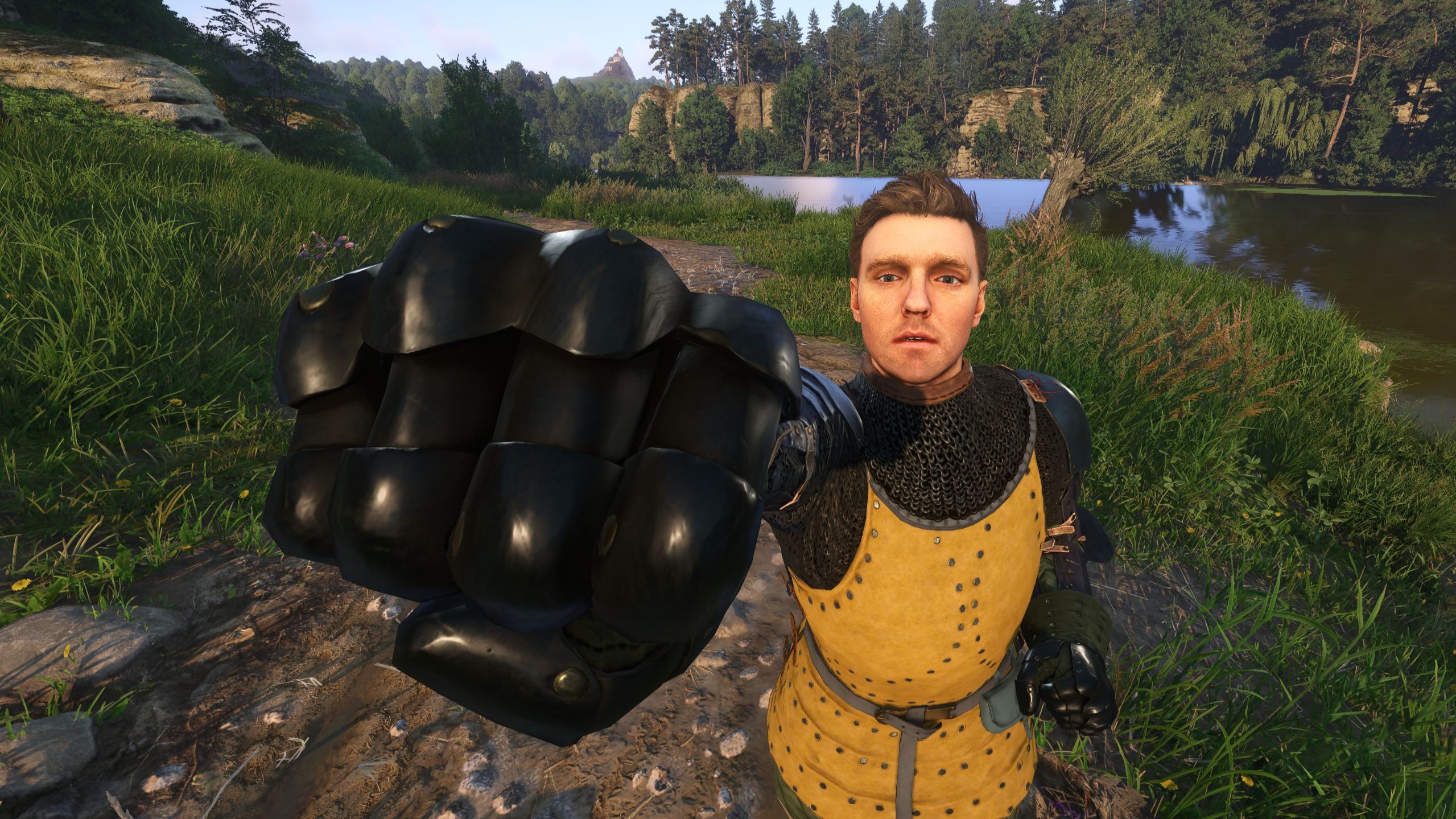 Henry von Skalitz（A character in the video game *Kingdom Come ...