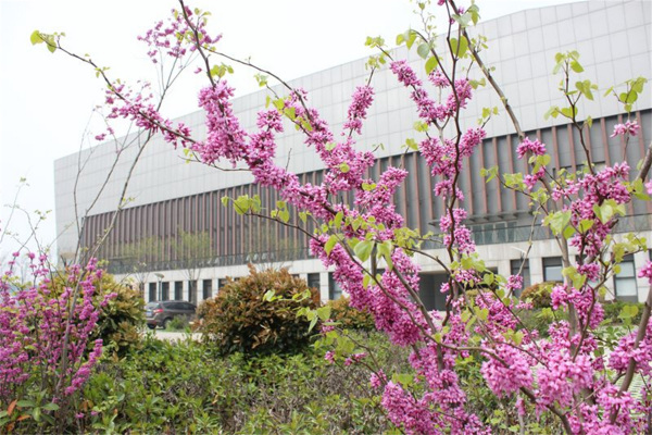 Hefei University（A public institution of higher education located in ...