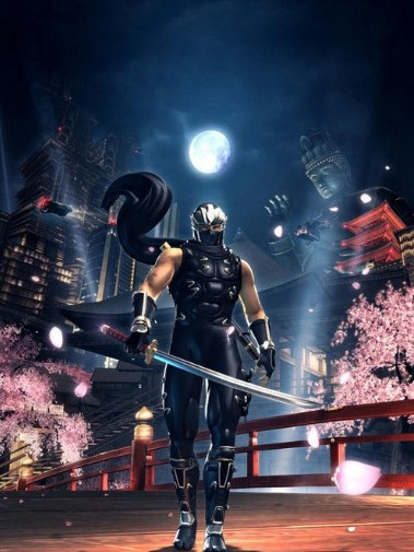 RYU HAYABUSA（A character featured in the Japanese ninja action game ...