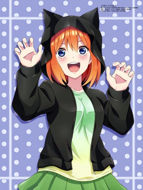 Nakano Yotsuba_Baiduwiki