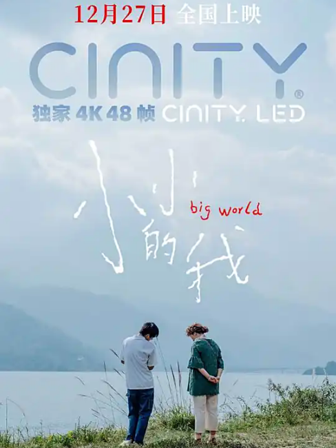 Big World（a 2024 drama film directed by Yang Linü）_Baiduwiki