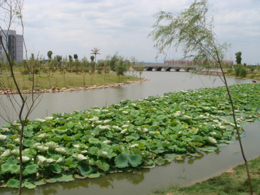 Hengyang Normal University（a public higher education institution in ...