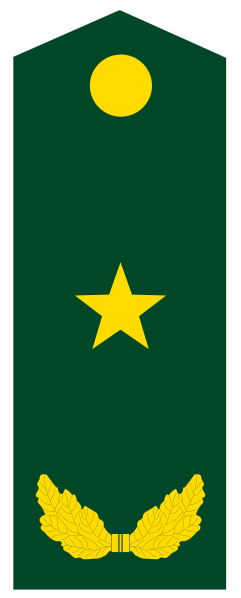 People's Liberation Army of China_Baiduwiki