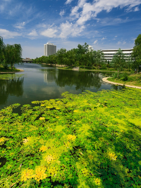 Jiangsu Normal University（Jiangsu Normal University is a public ...