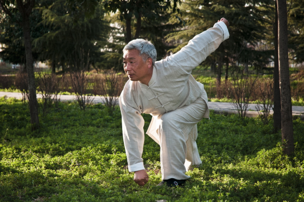 Taijiquan（A fist technique in Chinese martial arts and a representative ...