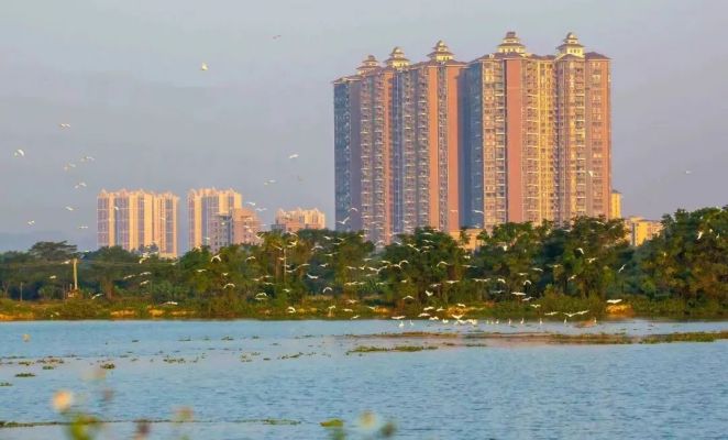 Zhaoqing City_Baiduwiki
