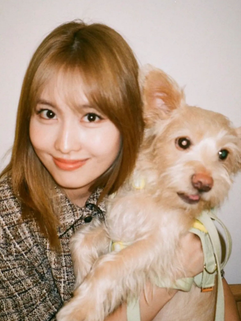 Momo Hirai（Cantante japonesa, miembro del grupo femenino surcoreano de ...