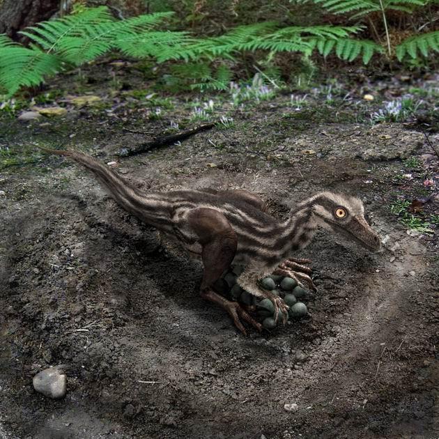 Troodon（Dinosaurio del Cretácico Superior）_Baidu Enciclopedia