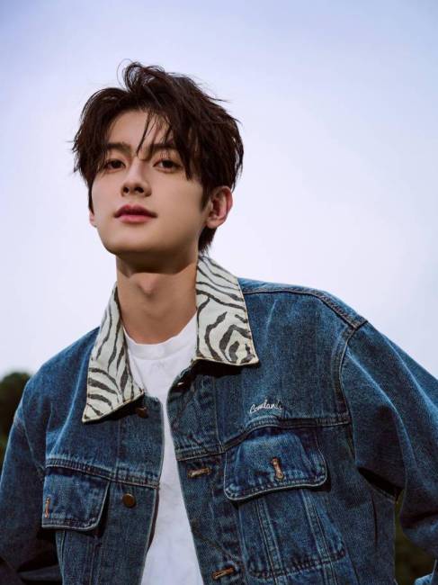 Chen Heyi（Mainland Chinese male actor）_Baiduwiki