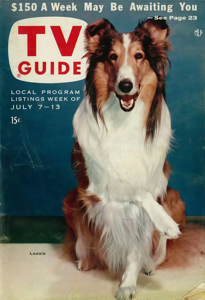 Lassie（An American drama television series directed by Bonita Granville ...