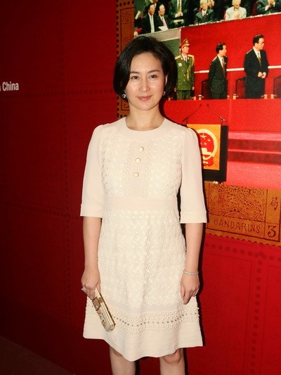 Pansy Ho Chiu-king（Standing Committee Member of the 14th National ...