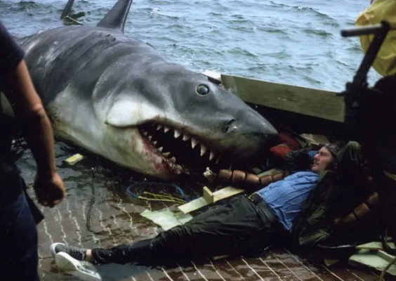 Jaws（a 1975 American thriller film directed by Steven Spielberg）_Baiduwiki