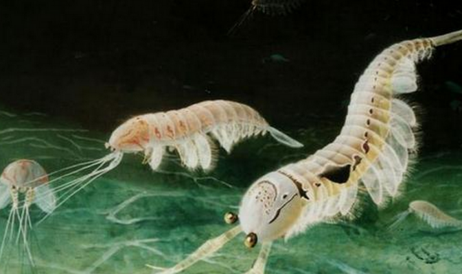 Hallucigenia（Paleontología）_Baidu Enciclopedia