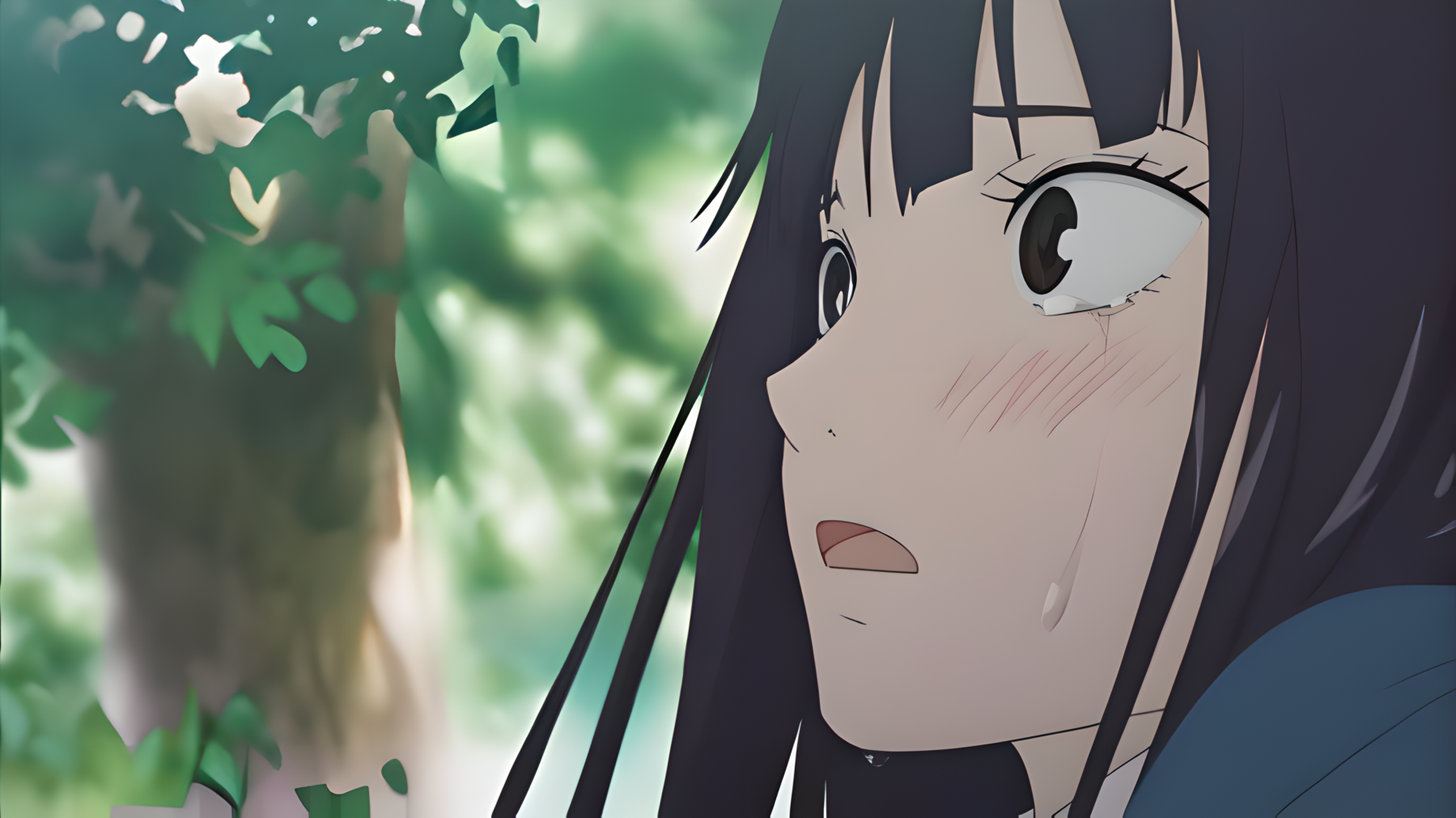 Kuronuma Sawako（A character from the manga Kimi ni Todoke.）_Baiduwiki