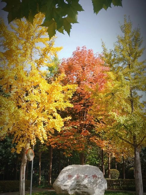 Xi'an Jiaotong University_Baiduwiki
